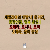 세빌리아의 이발사 줄거리 등장인물 명곡 해설 오페라 로시니 코믹 오페라 음악 감상 네이버 블로그
